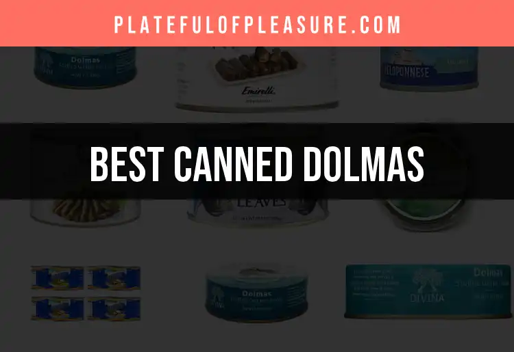 12 Tasty Canned Dolmas You Need to Try