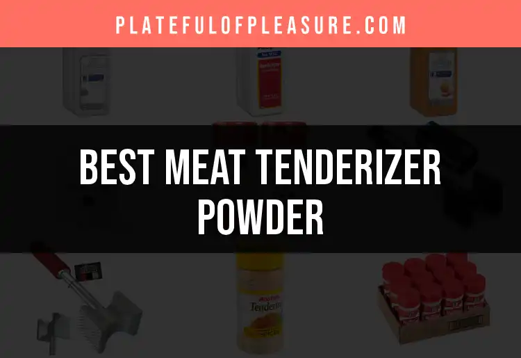 Top 10 Meat Tenderizer Powder Picks for Juicy Results