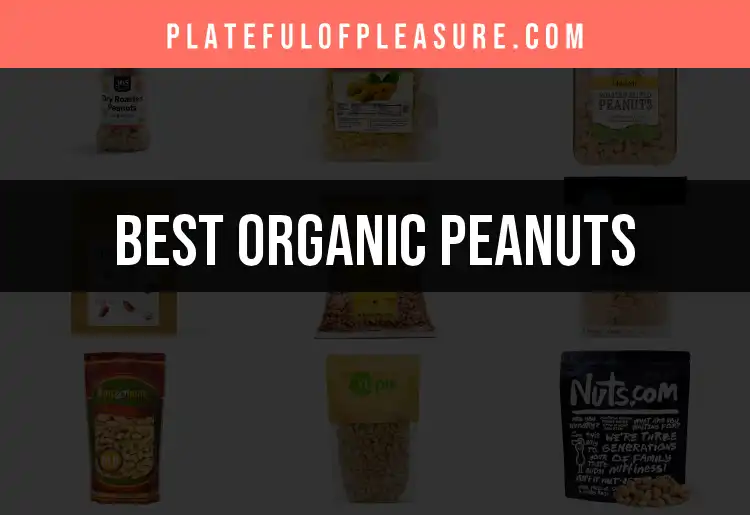 12 Finest Organic Peanuts for Healthy Snacking