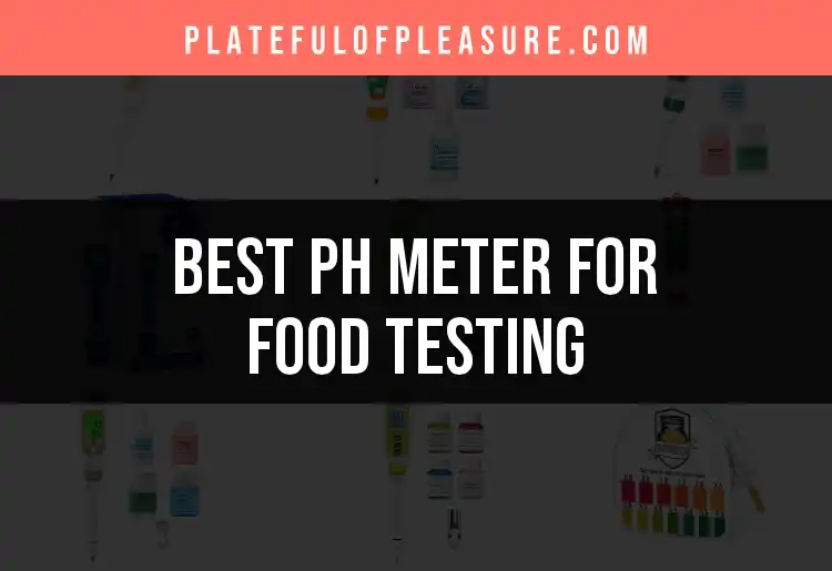 13 Best pH Meters for Food Testing You Need to Know